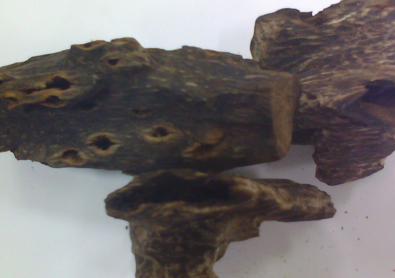 BUDIDAYA GAHARU: KLASIFIKASI KUALITAS GAHARU BERDASARKAN JENIS GUBAL