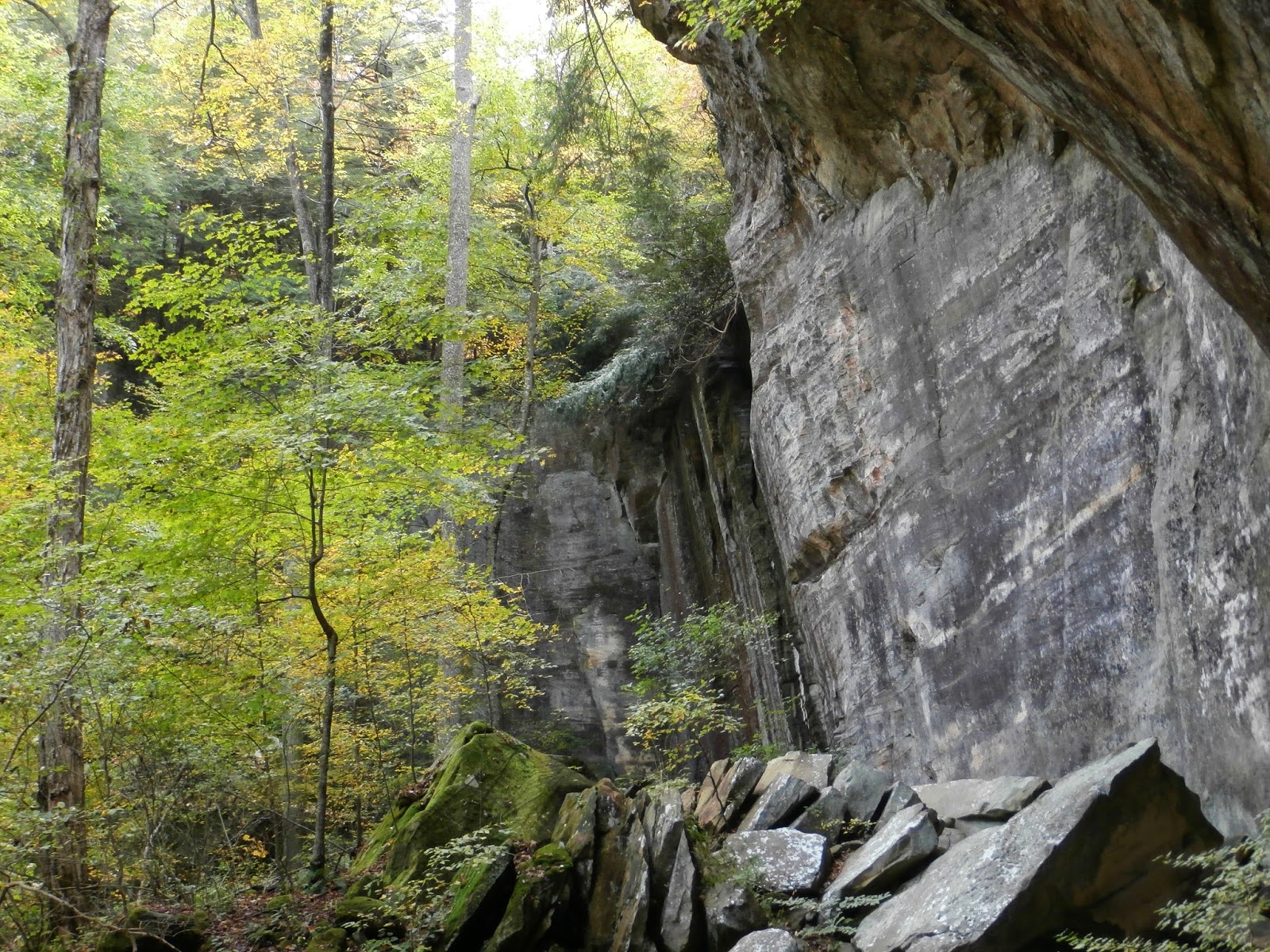My eyes were here: Kentucky Nature