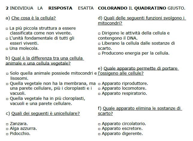 VERIFICA CELLULA E APPARATI CORPO UMANO - classe quinta - | MyFunFlipCl ...