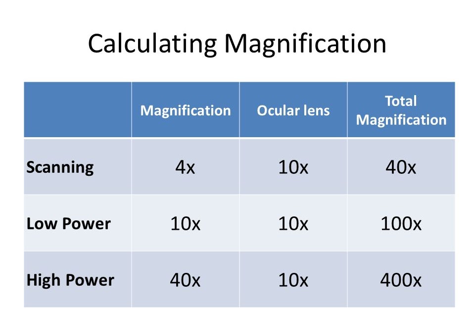 The correct use of the microscope