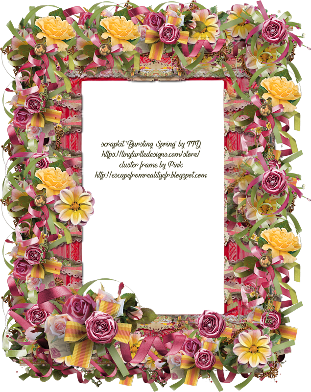 Escape From Reality Blog: FTU 'Bursting Spring' Cluster Frames TTD