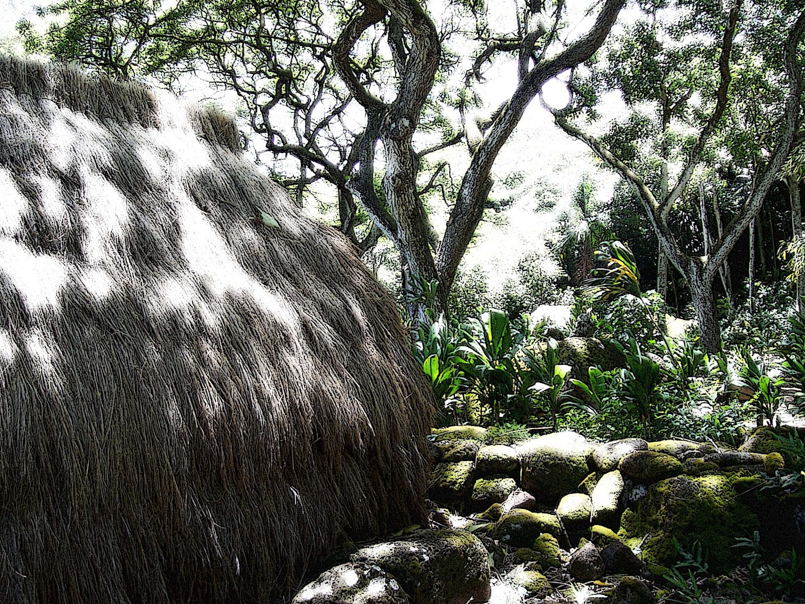 Whitehorse: Waimea Valley