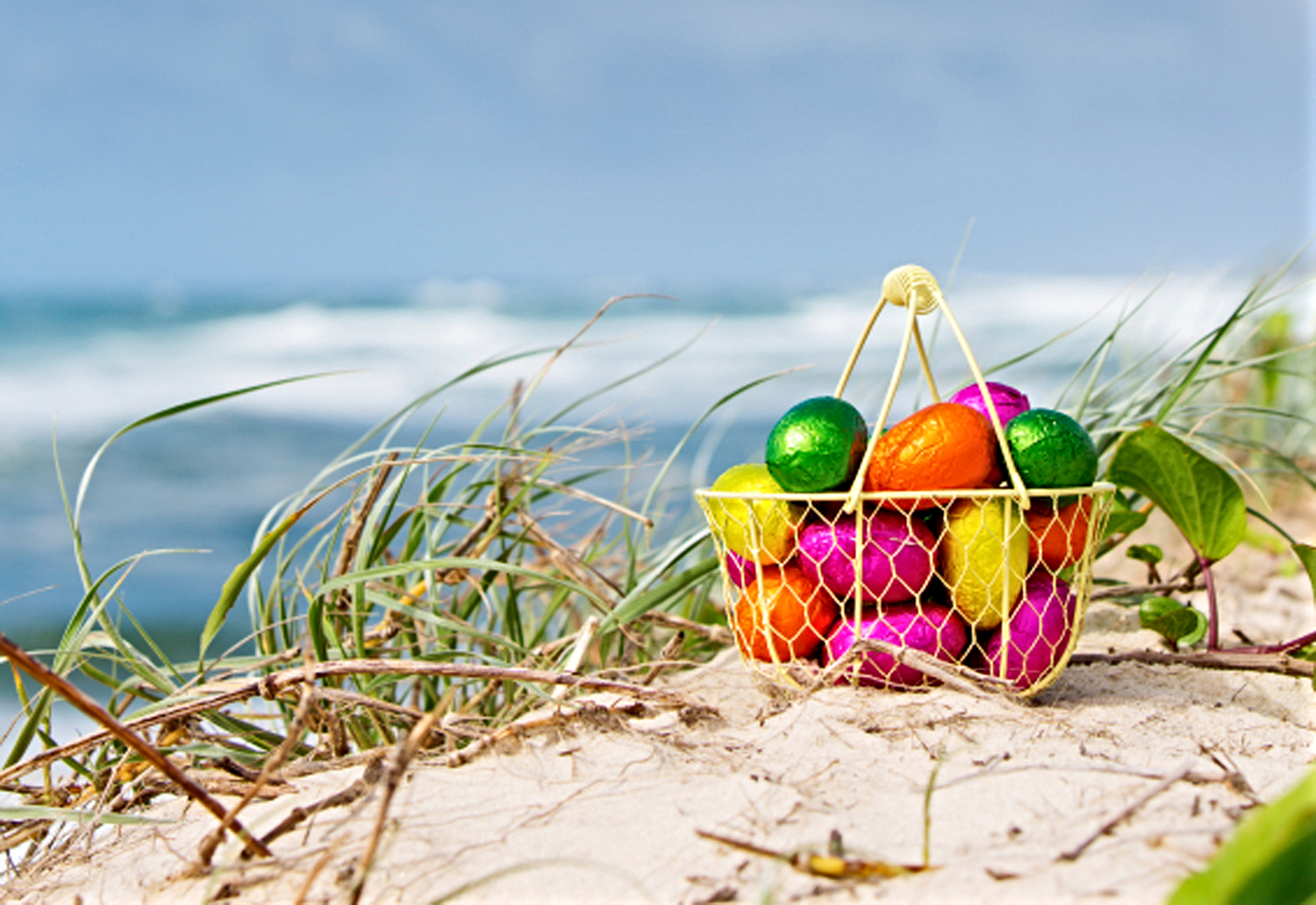 Life on Delmarva: Easter Greetings from the Seashore | Coastal ...
