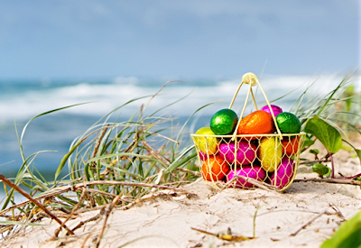 Life on Delmarva: Easter Greetings from the Seashore | Coastal ...