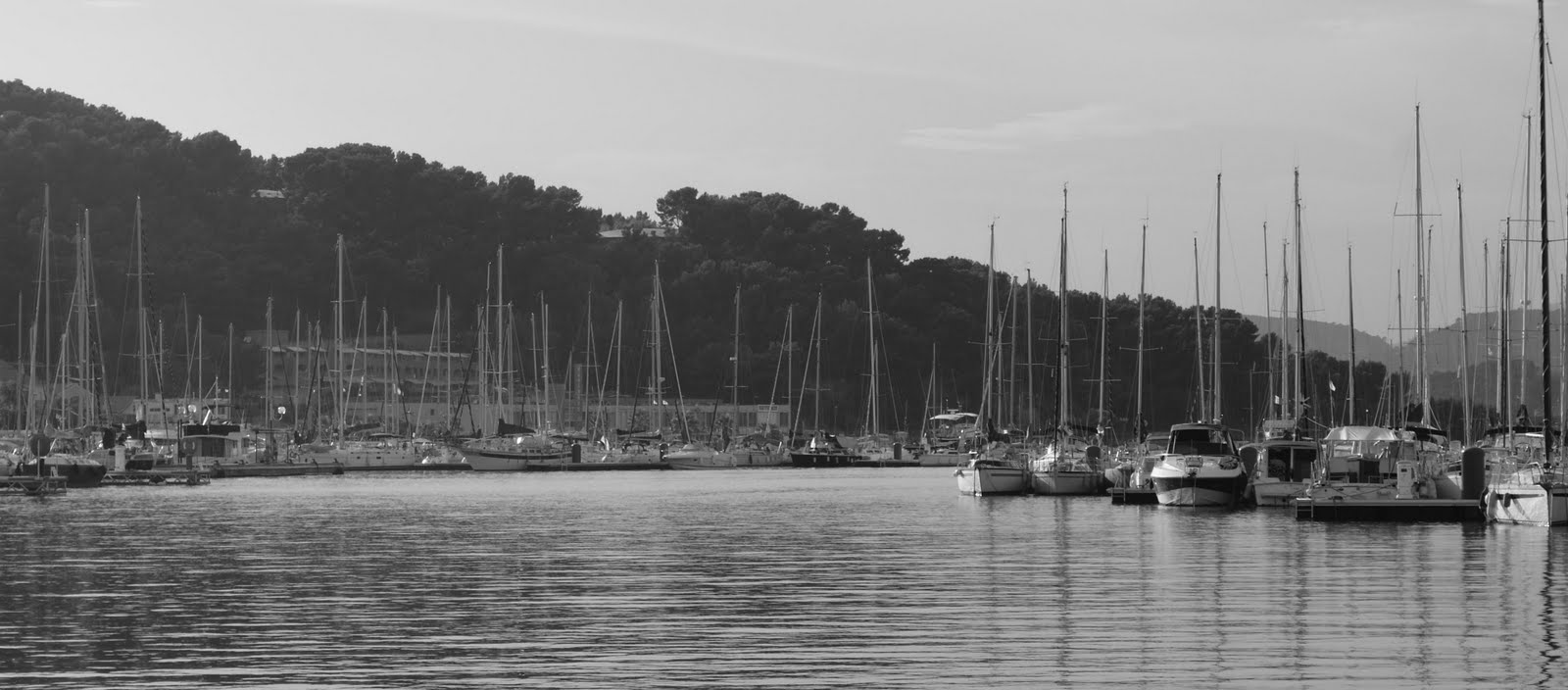 EPQ Experimental Digital Photography Techniques