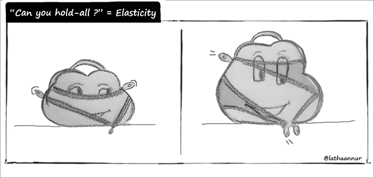 : Elasticity - HoldAll