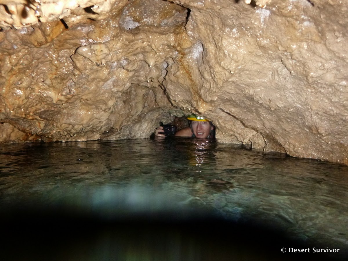 Desert Survivor: Gandy Warm Springs, Millard County, Utah