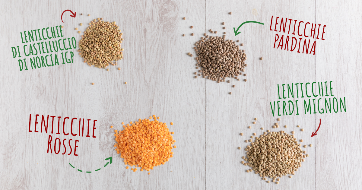 Come cucinare le lenticchie: proprietà, usi e ricette