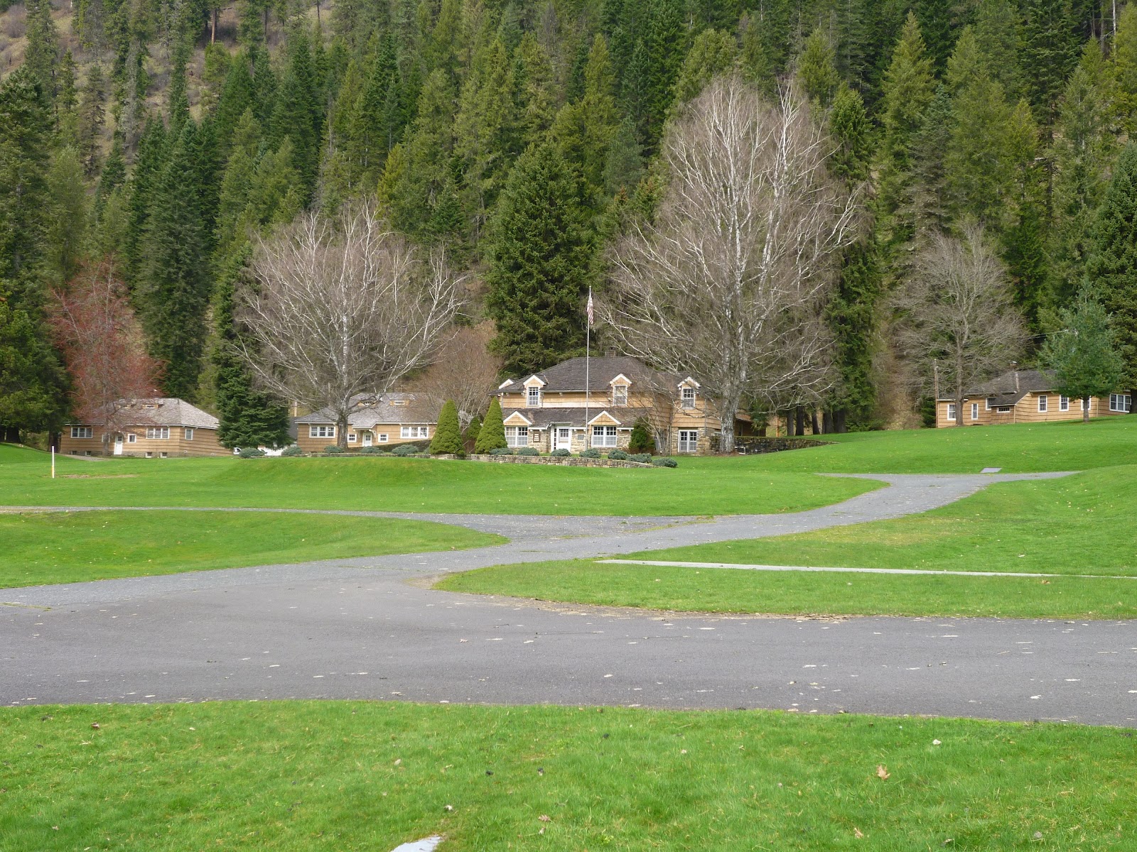 From Whales to Snails.