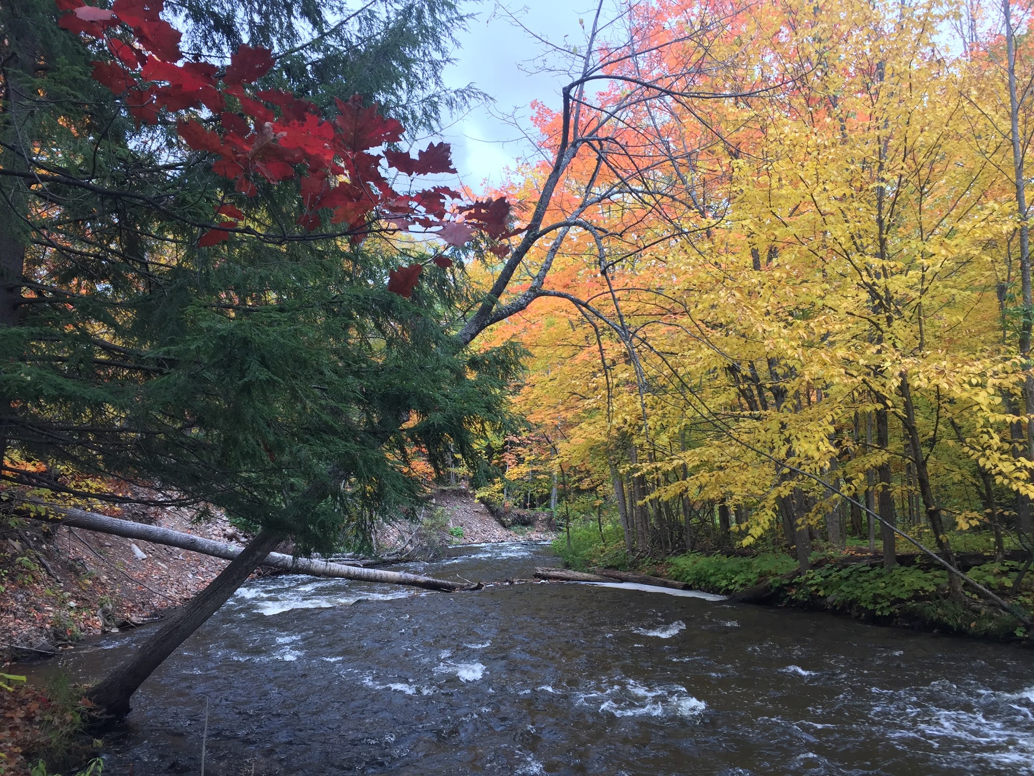 Travel Reviews & Information: Marquette, Michigan: Rippling River ...