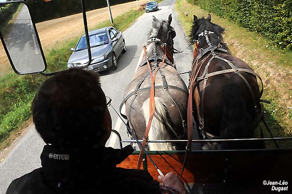 Percheron International: L'Hippobus En Action