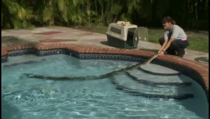 Thee Optimist: Is the Human Race an Invasive Species?