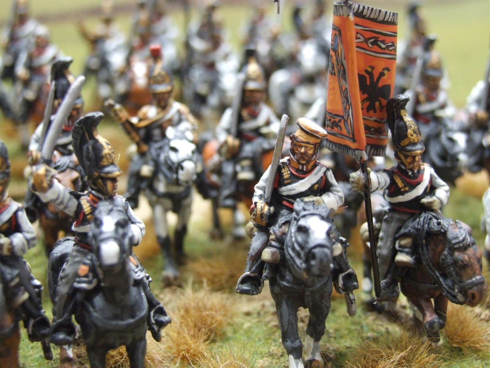 Napoleonic Collection Step by Step