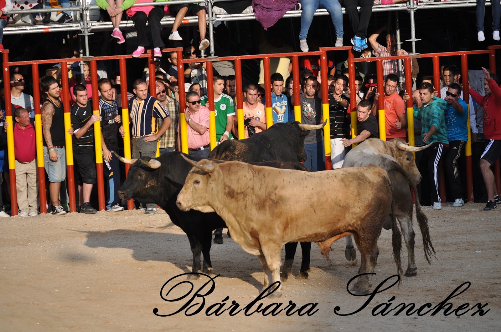 TAURINAS AL NATURAL: ARGANDA DEL REY (MADRID)