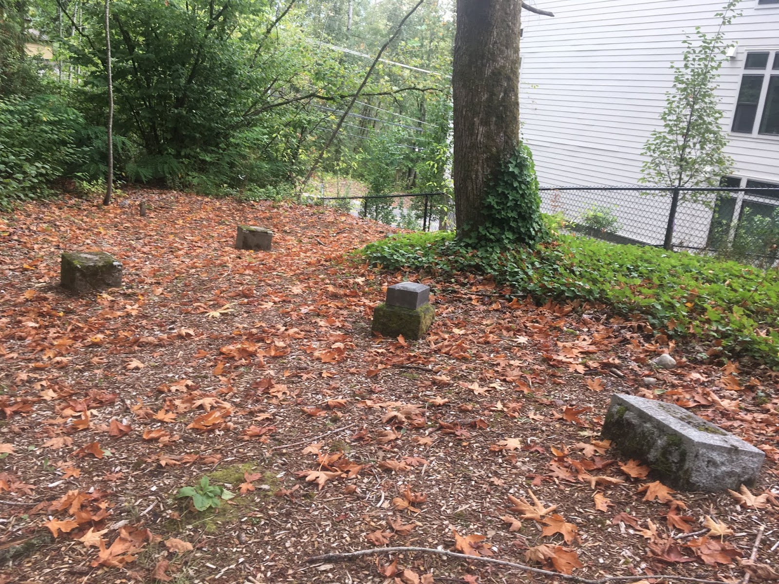 Heroes, Heroines, and History: SWEDISH CEMETERY 1893