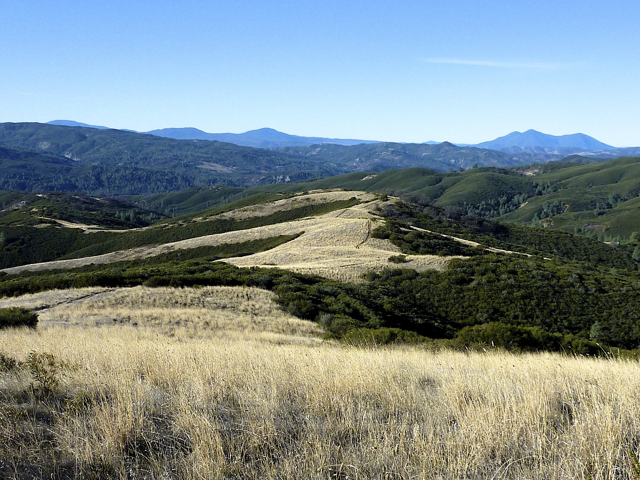 The Duffel Bag: * Cache Creek Wilderness Area, Lake County