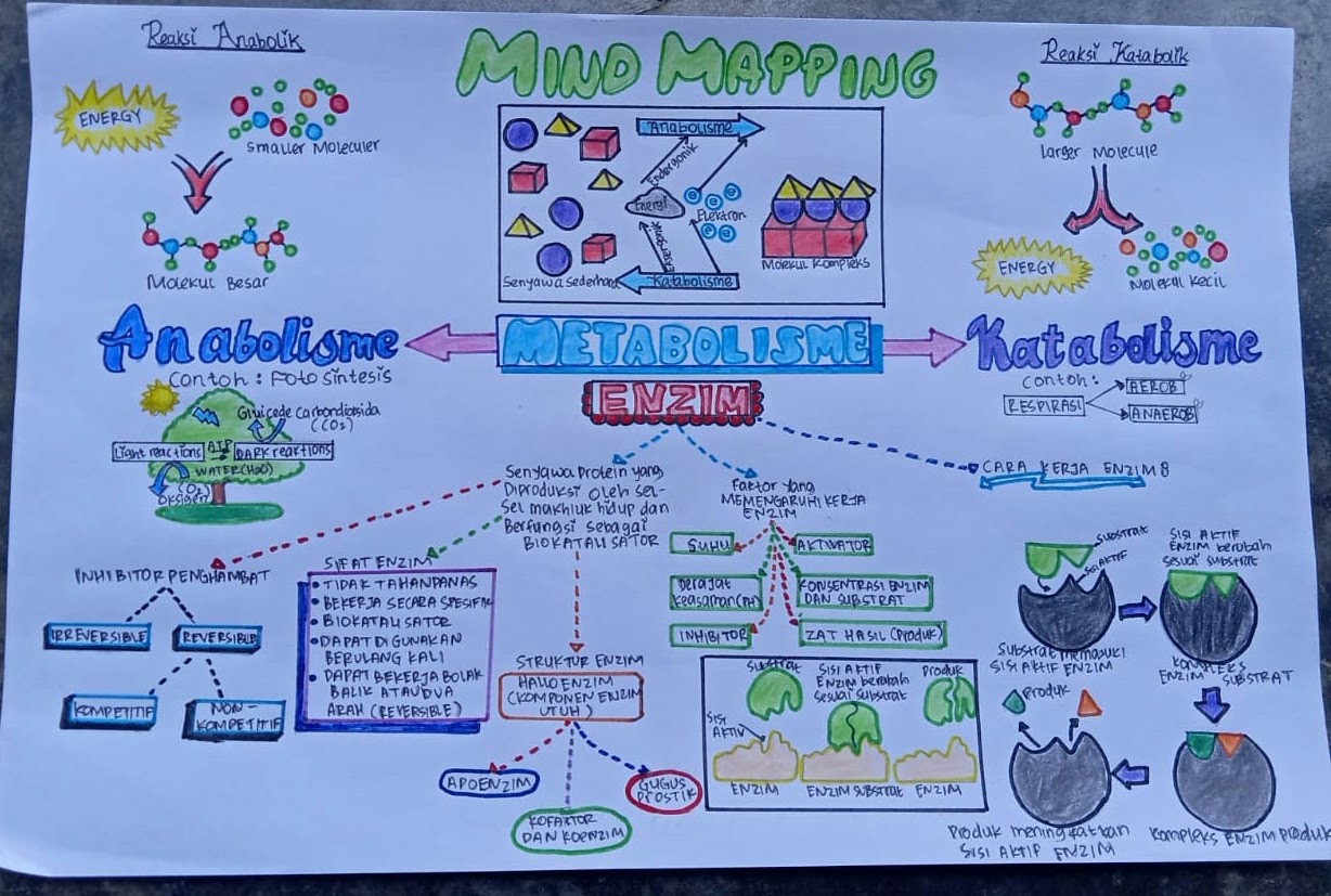 Tugas Mind Mapping Materi Enzim dan Metabolime Kelas XII MIA 1 - Kelas ...