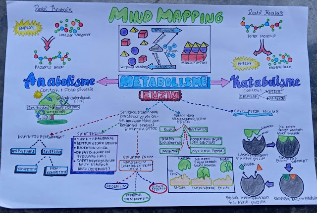 Tugas Mind Mapping Materi Enzim dan Metabolime Kelas XII MIA 1 - Kelas Biologi | Irfan Dani, S ...