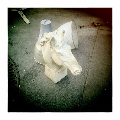 Le laboratoire des mots et des images: « La Tête [ Blanc le cheval ...