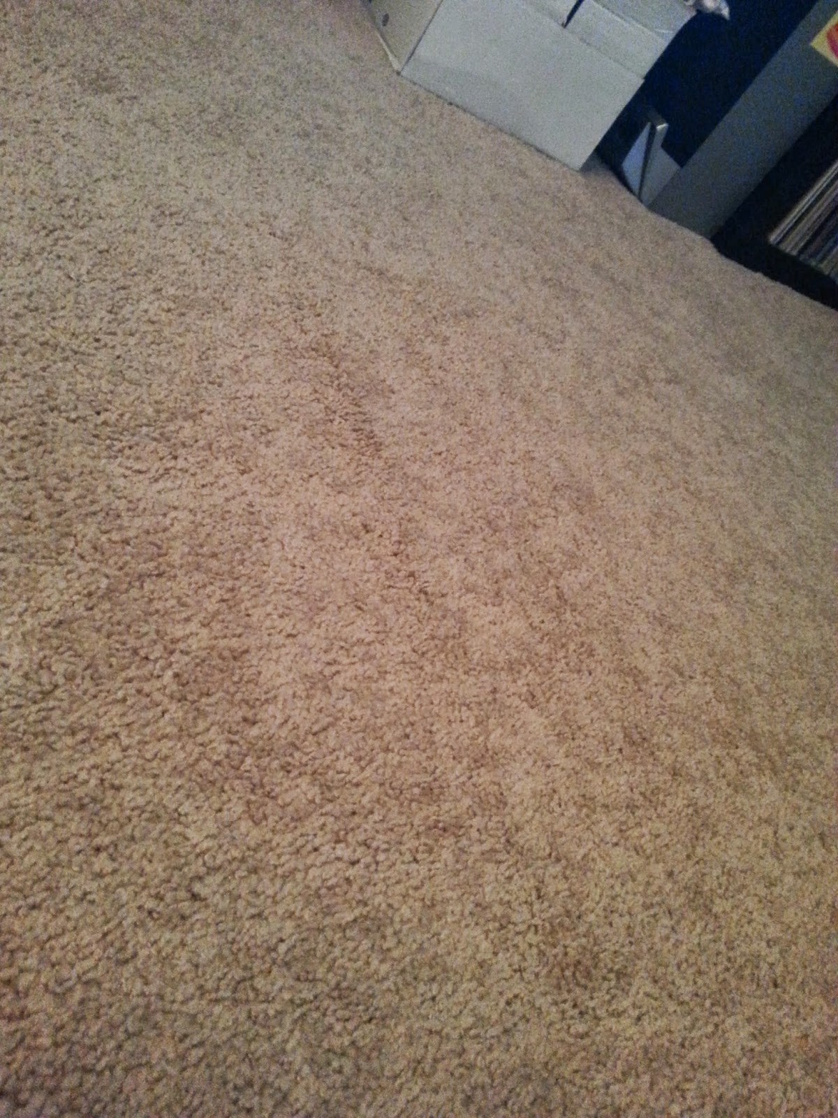 Bobby Calabrese's OFFICIAL BLOG: Carpet Displacement Theory.