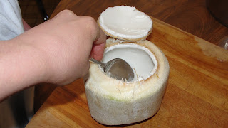 Creating The Best Life Ever: Fermented Young Thai Coconut Water Kefir