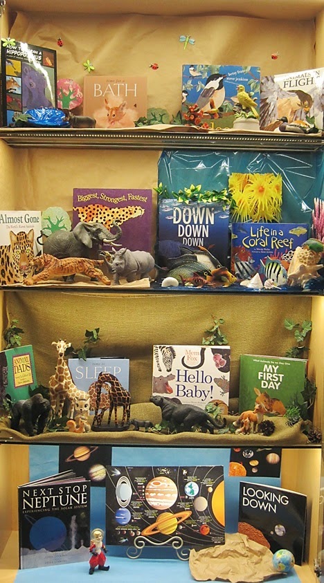 Display - Books by Steve Jenkins