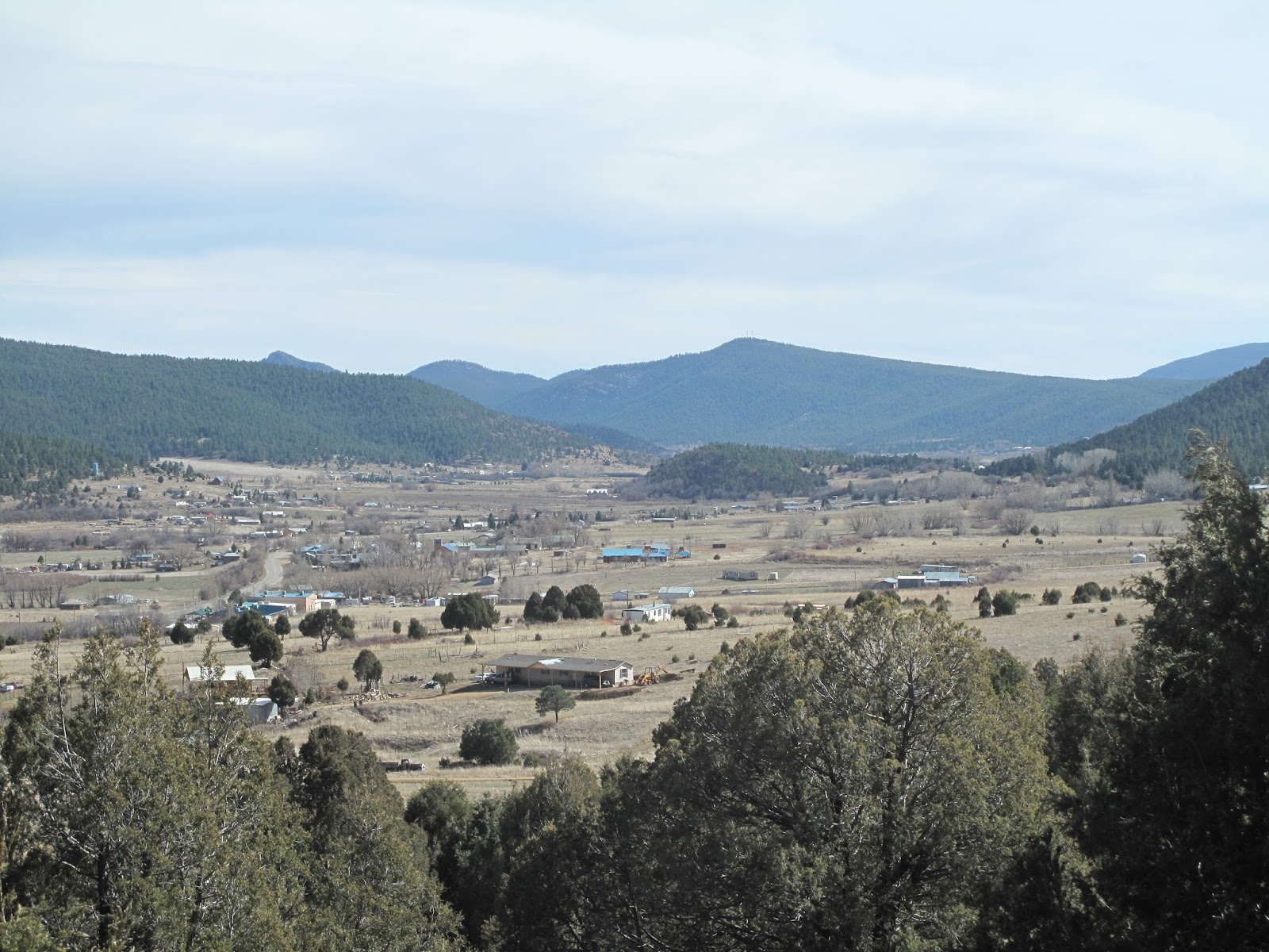 SeedBroadcast: Mora Growers' Coop Seed and Story Exchange