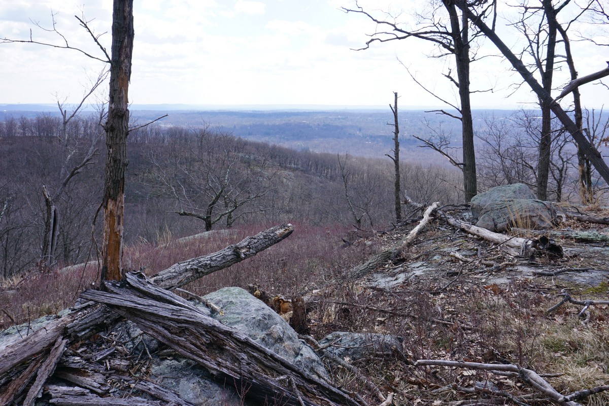 Harriman Hiker: Harriman State Park and Beyond: Catamount Mountain to ...