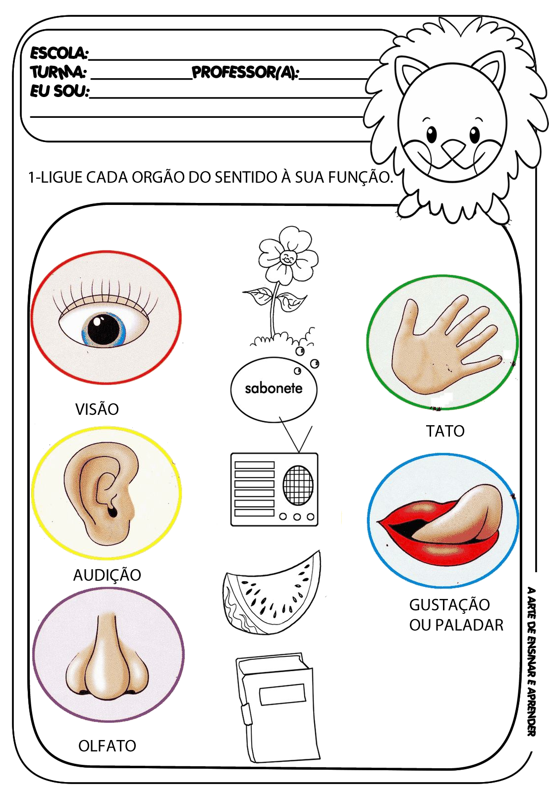 Atividade Sobre Os Cinco Sentidos - NAZAEDU