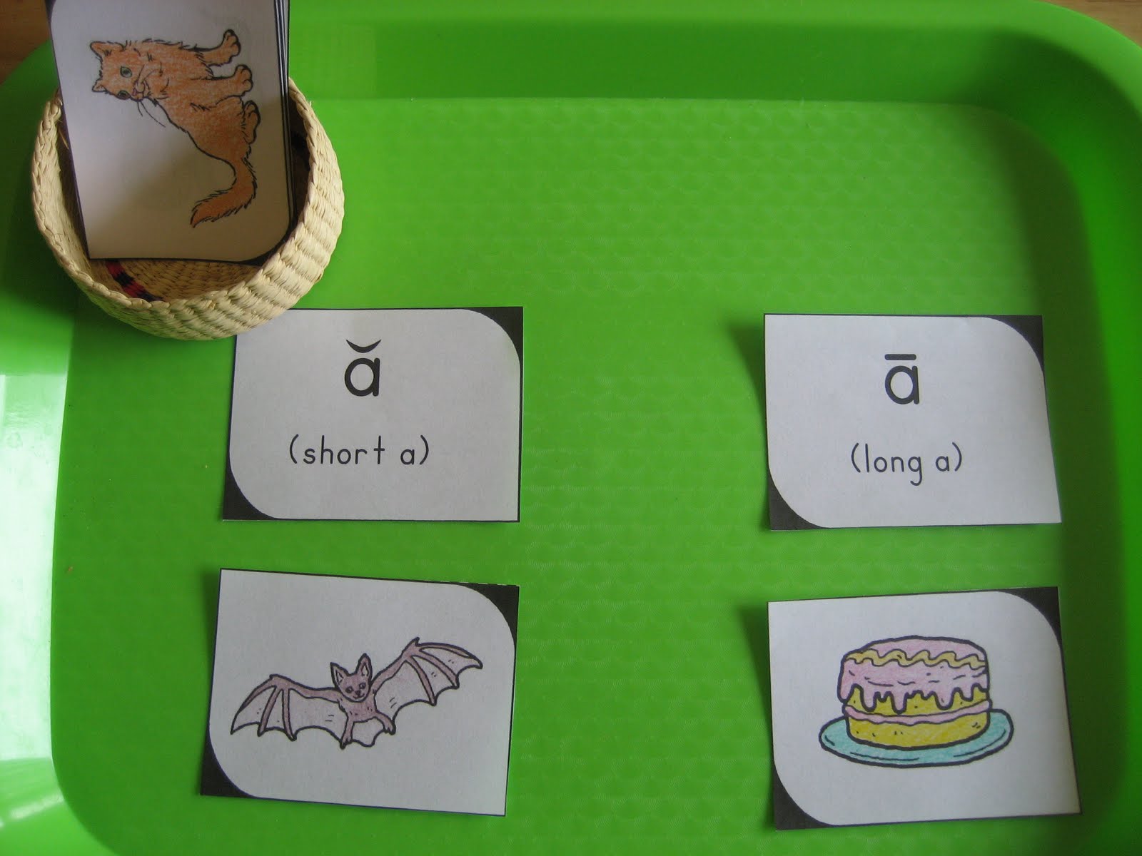 The Preschool Experiment: They make more than one sound?!?!