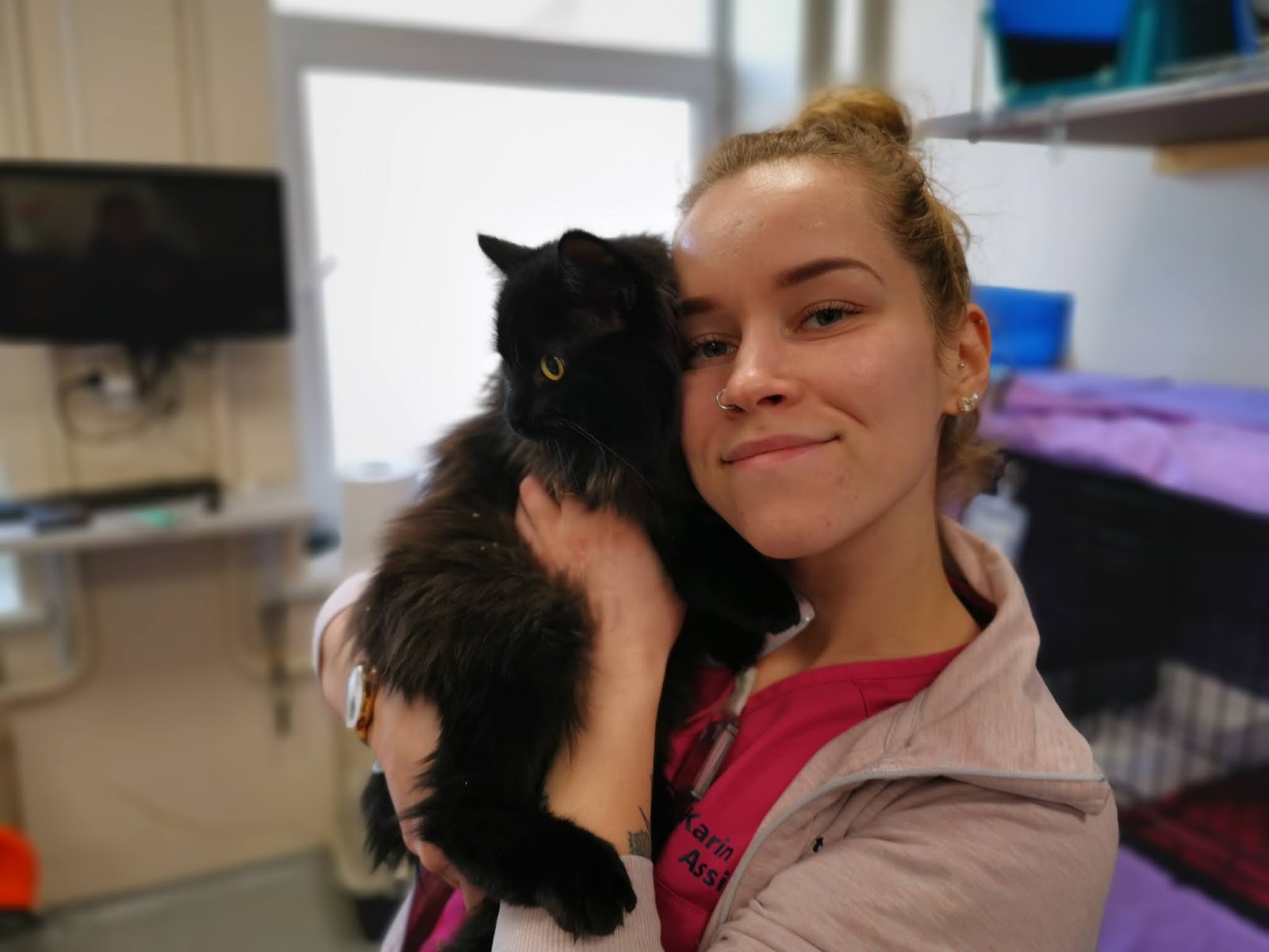 Heiksi blogi: "Jüri kiisuke jõudis koju tagasi!"