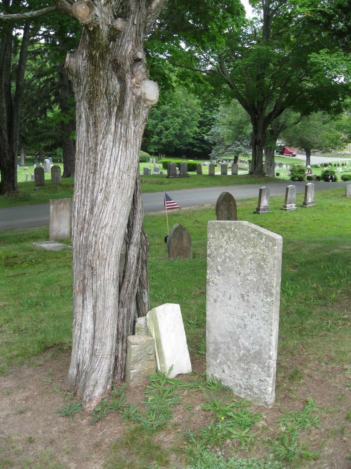THE OLD COLONY GRAVEYARD RABBIT: FERN HILL CEMETERY HANSON, MA.