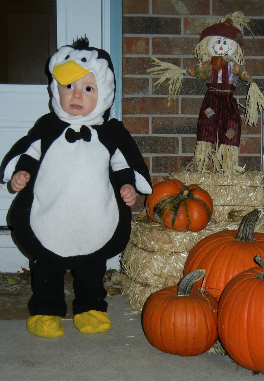 Lookie What I Can Do!!: Halloween Penguin