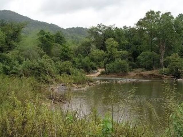 Other Bird Sanctuaries in Bihar