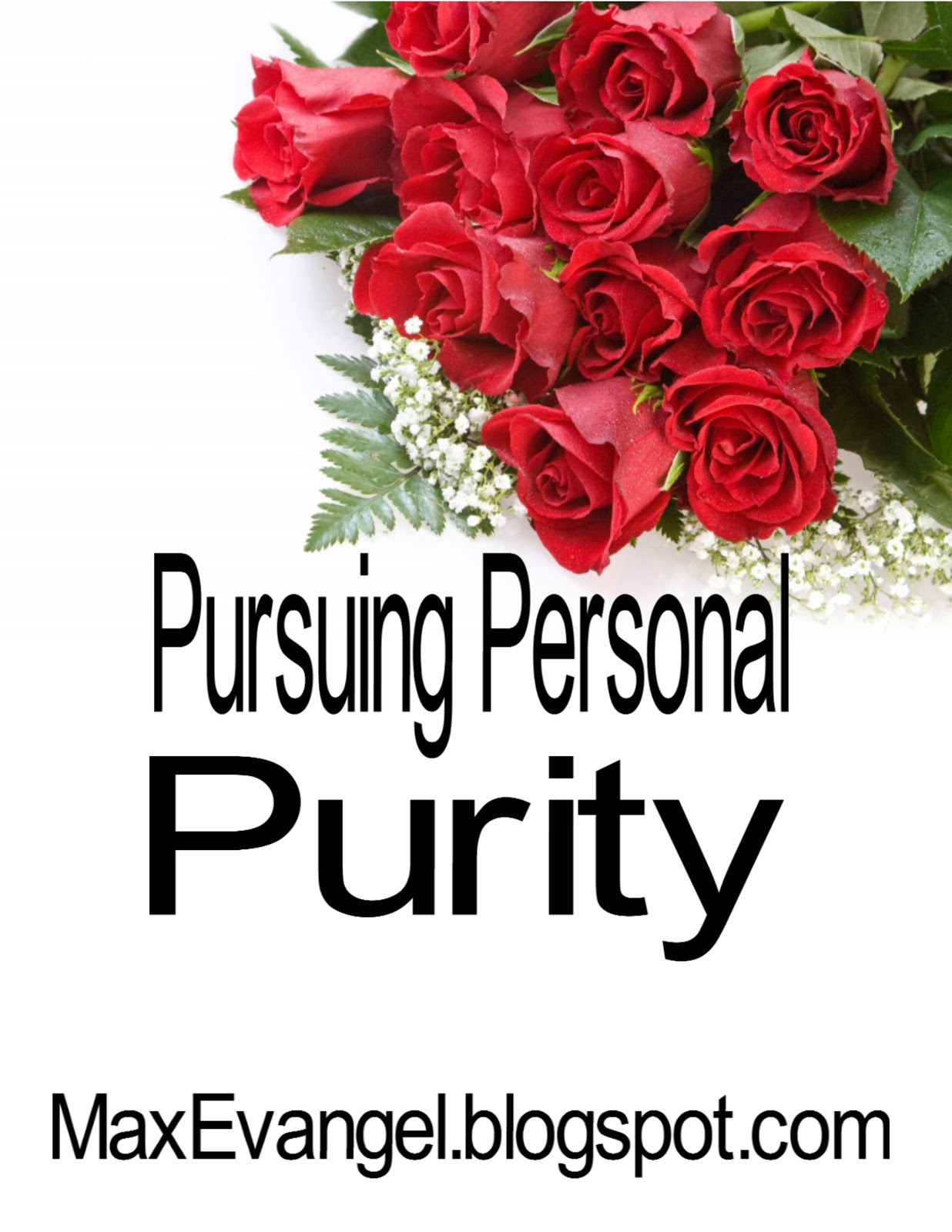 MaxEvangel: Pursuing Personal Purity