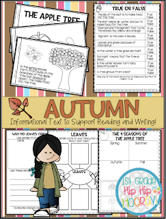 1st Grade Hip Hip Hooray!: Autumn is Here!