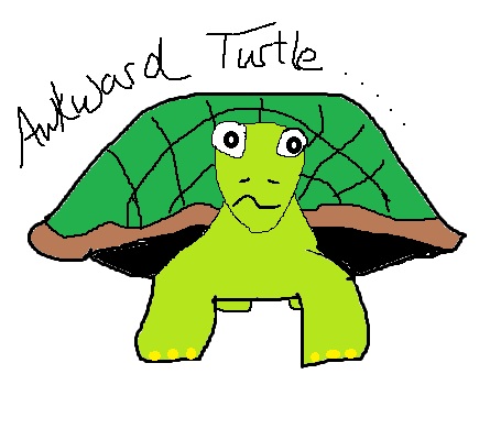 Dealing with today...: Awkward Turtle