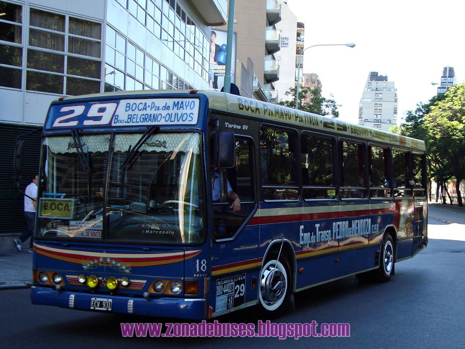 Colectibus - Zona de Buses: LINEA 29