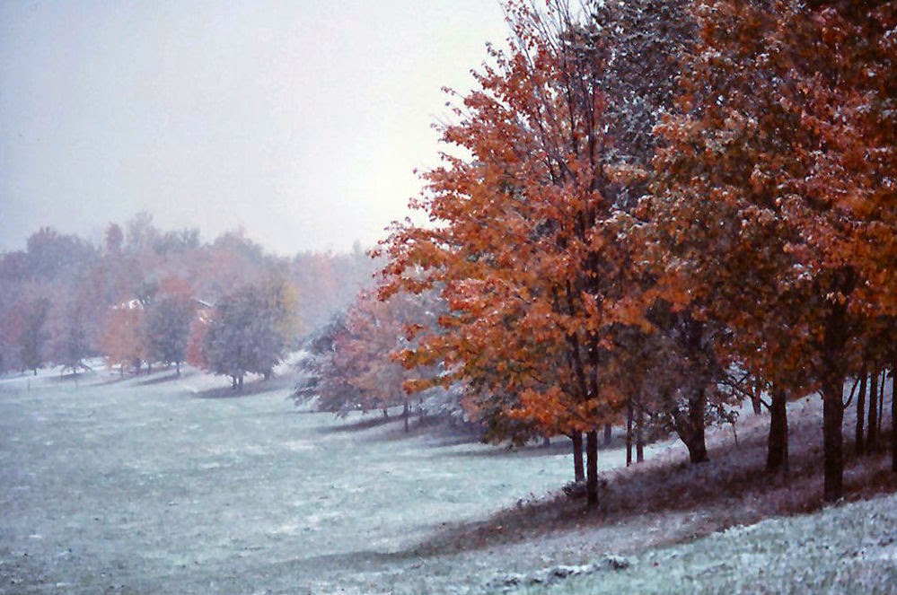 Images and More: The Right Place at the Right Time – Two Early Winter ...