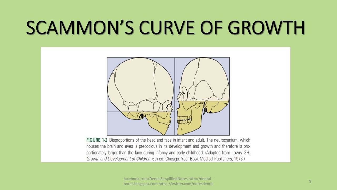 Dental Notes: Scammon’s Curve Of Growth NOTES