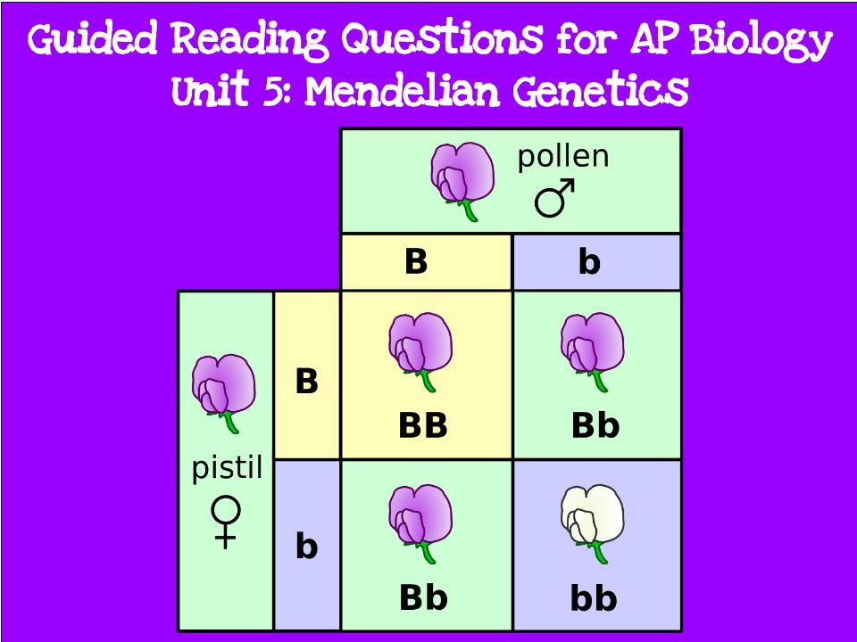 Biology by the Math Mom: 2016