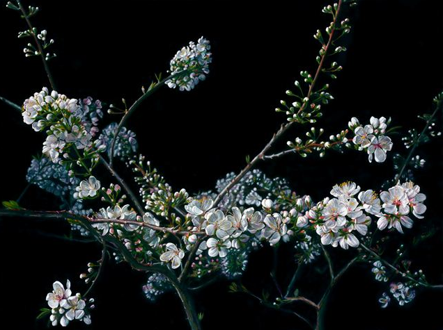 Christopher Beaumont - Alchetron, The Free Social Encyclopedia