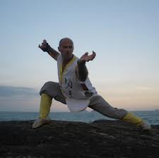 Ada's Blog about Chinese Culture: Three Shaolin Quan named after ...