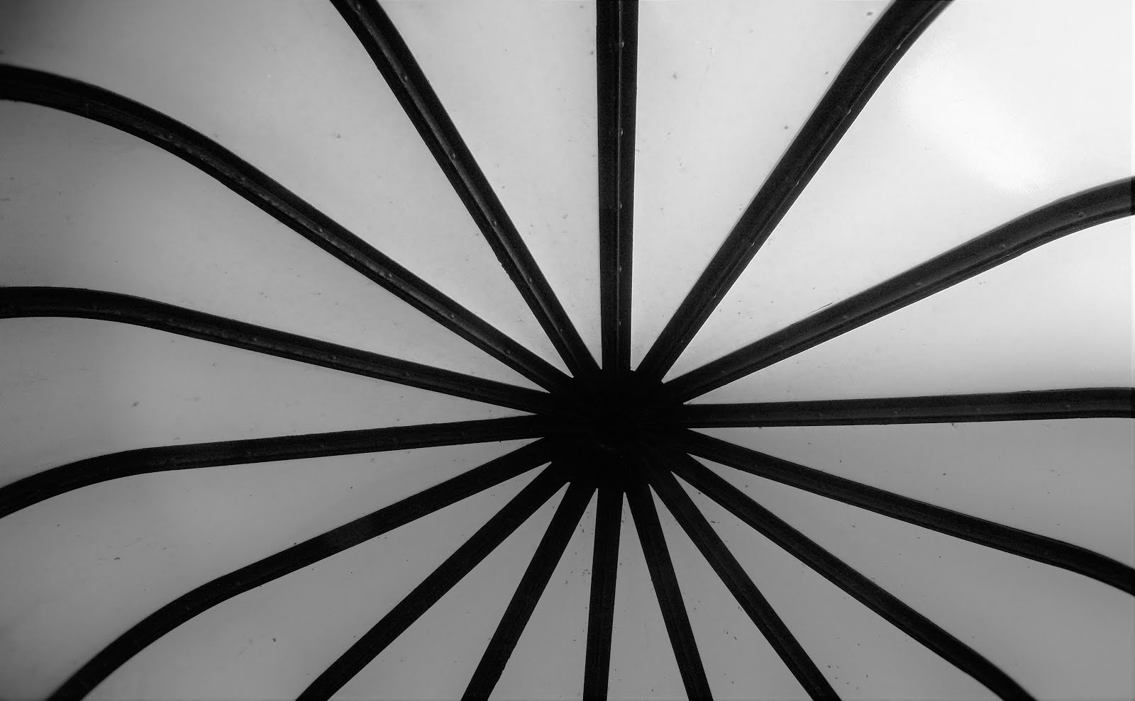 ©Robert V. Santangelo, Jr. All Rights Reserved