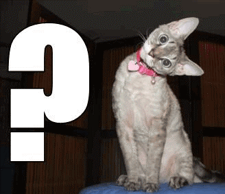 Microsoft to make Windows 10 updates mandatory | Page 8 | TechPowerUp ...