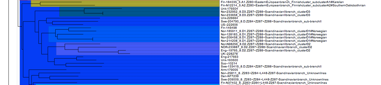 KurdishDNA: R1a1a STR111 tree