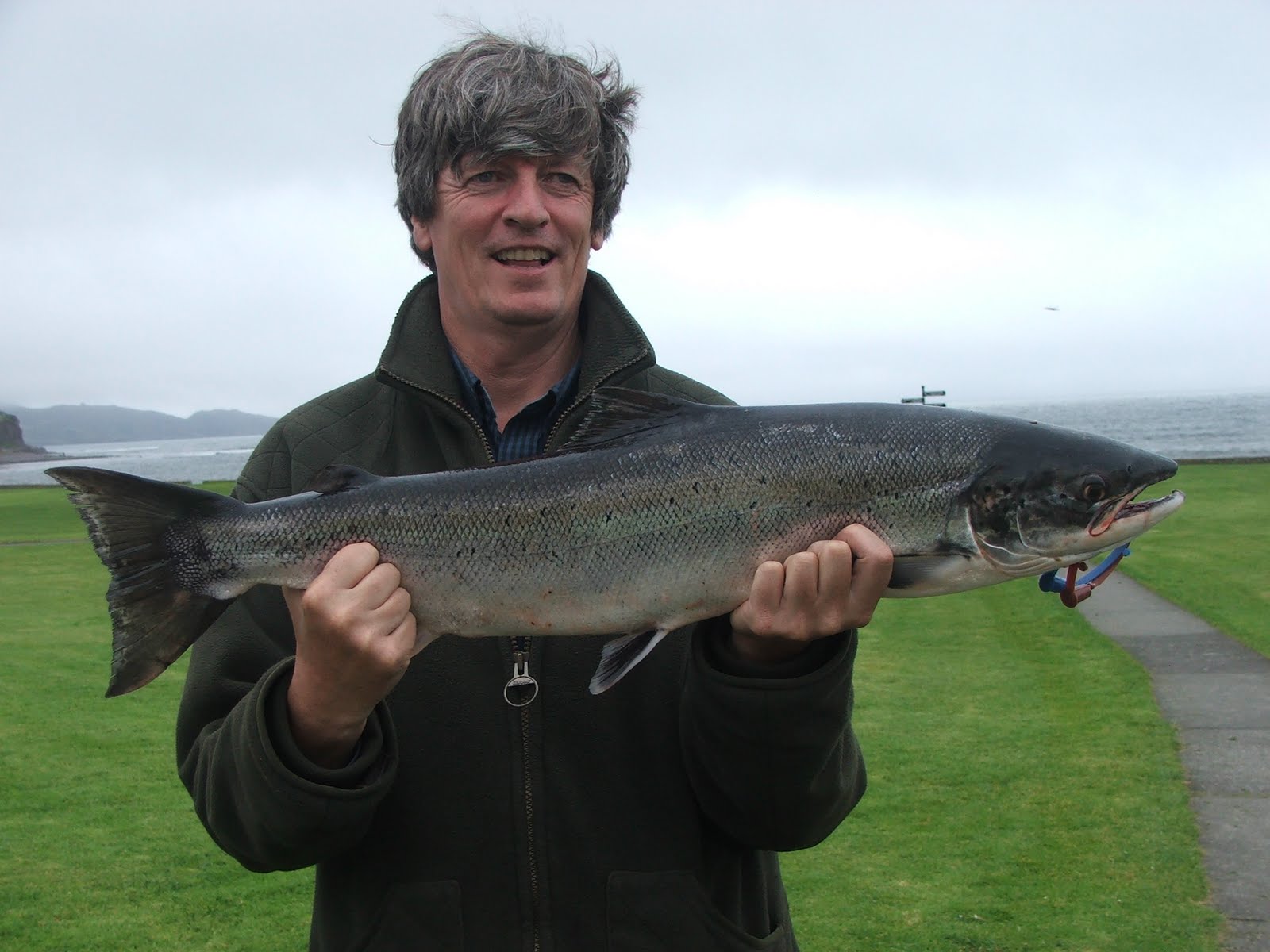 Salmon and Sea Trout: 11/8/11 Update