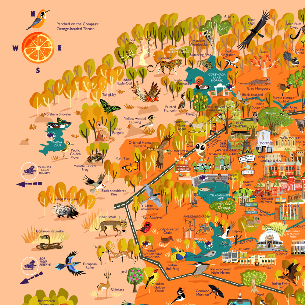 Green Humour: Urban Biodiversity Map of Nagpur - The Tiger Capital of ...