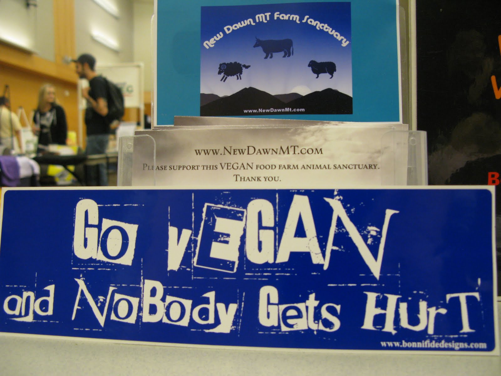 paradis express: Ketzel