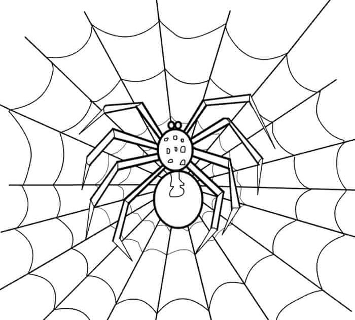 Huge Collection of Spider Coloring Page - Yuk Sebar